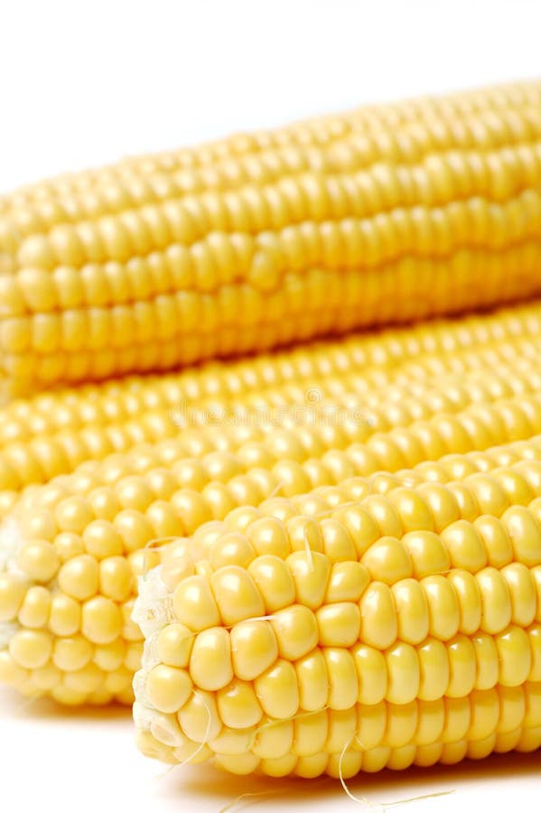 Fresh Maize Isolated on White Stock Photo - Image of flake, farm: 41136940