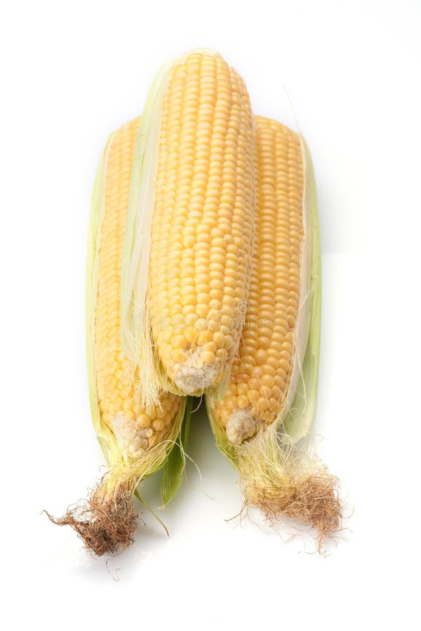 Maize stock image. Image of agriculture, healthy, background - 118922941