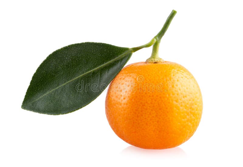 Fresh mandarin orange stock photo. Image of fresh, food - 180811490