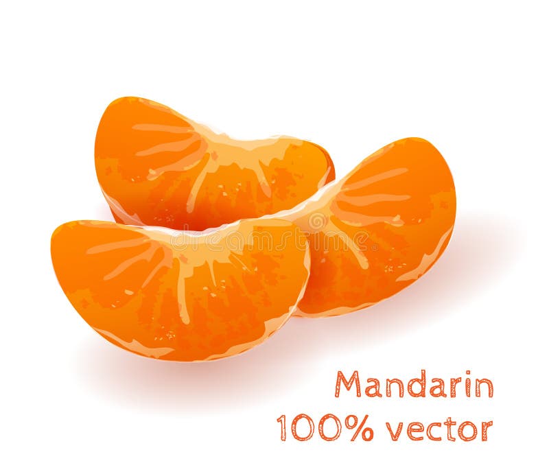 Fresh Mandarin. Vector Illustration Stock Vector - Illustration of leaf ...