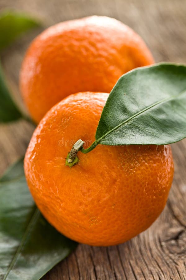 Fresh mandarin stock image. Image of healthy, fruits - 36689281
