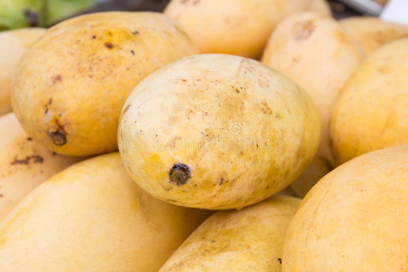 Fresh mango stock image. Image of healthy, market, organic - 94118021