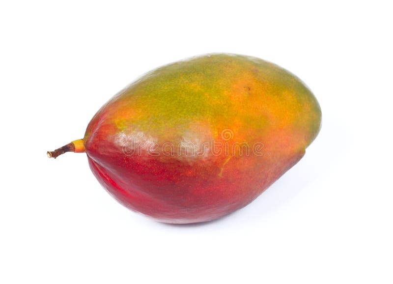 Single Mango Fresh Juicy Ripe Tropical Fruit Stock Image - Image of ...