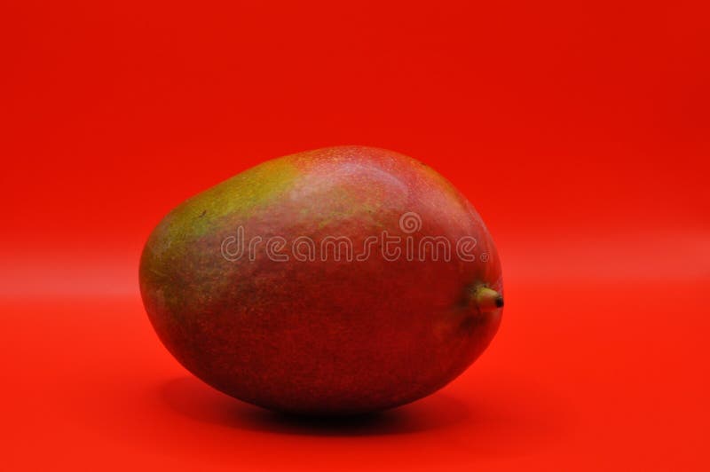 Mango on red background stock photo. Image of background - 370624076