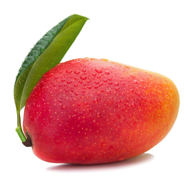 Fresh Mango Fruit with Green Leaves Isolated on White Background Stock ...