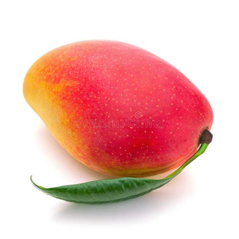 Fresh Mango Fruit with Green Leaves Isolated on White Background Stock ...