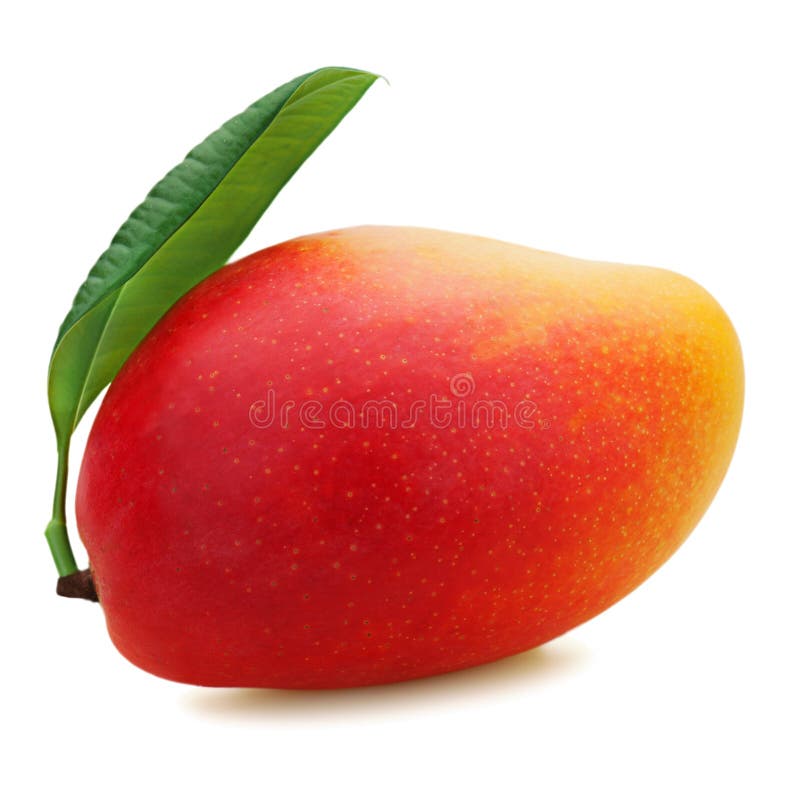 Fresh Mango Fruit with Green Leaves Isolated on White Background Stock ...
