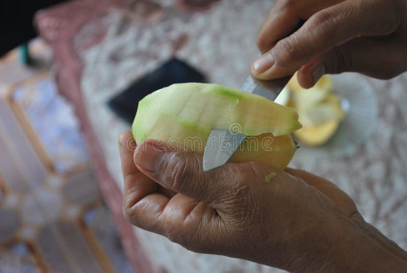 Fresh Mango Fruit from Your Garden Stock Image - Image of awesome, love ...