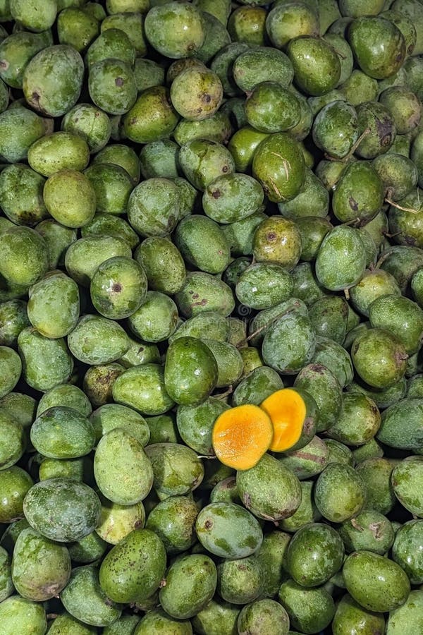 Fresh Mango on Hand, Mango on Hand, Mango Fruits, Tasty Mango, Mango ...