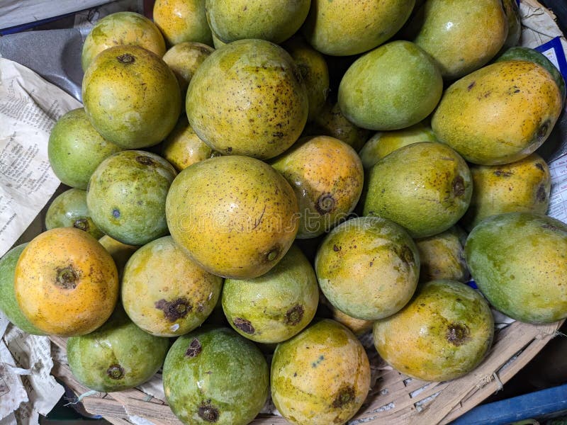 Fresh Mango on Hand, Mango on Hand, Mango Fruits, Tasty Mango, Mango ...