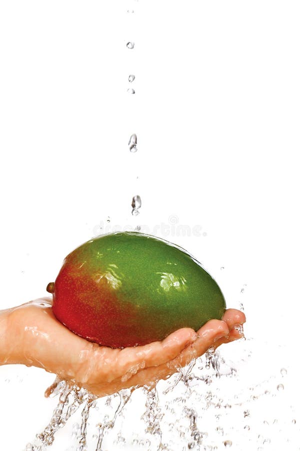 Dripping Mango Stock Photos - Free & Royalty-Free Stock Photos from ...