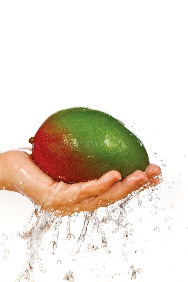 Dripping Mango Stock Photos - Free & Royalty-Free Stock Photos from ...