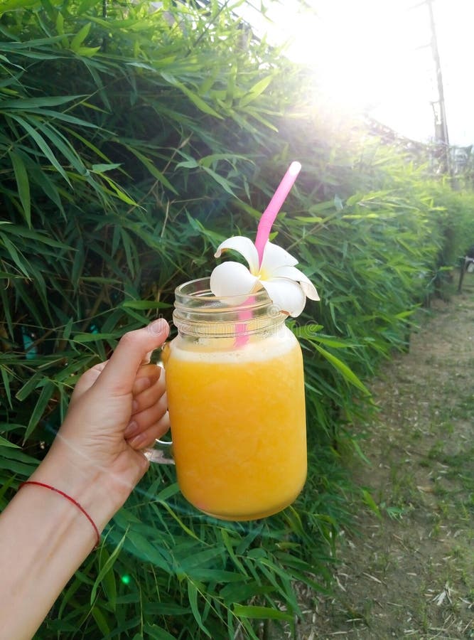 Fresh Mango Juice in Glass Cup with Frangipani Flower. Tropic ...