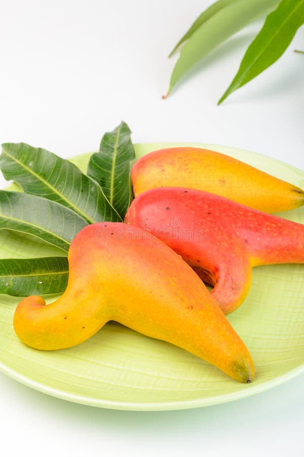 Fresh mango stock image. Image of isolated, fresh, freshness - 54000001