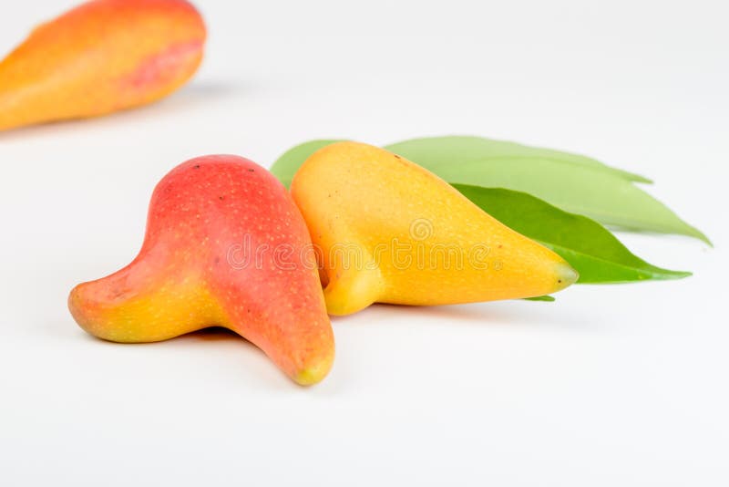 Fresh mango stock image. Image of isolated, fresh, freshness - 54000001