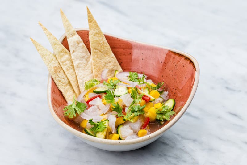 Fresh Mango Salsa with Raw Fish Filet in Brown Plate Stock Image ...