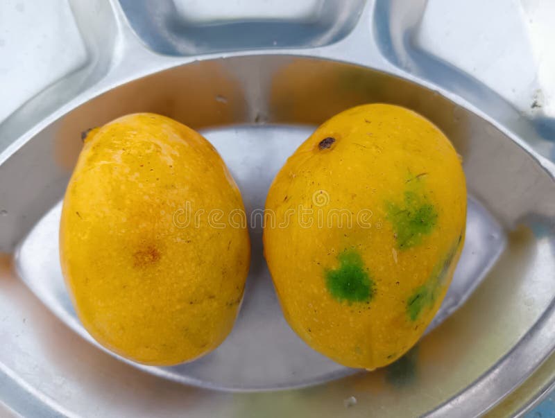 Fresh Mango in a Silver Plate Stock Photo - Image of market, organic ...