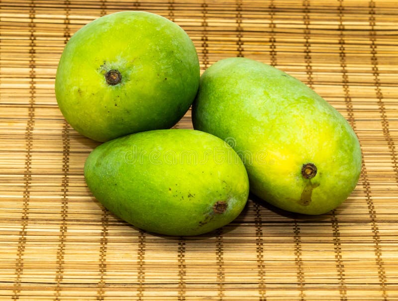 Fresh Mango, Thai Fruit , Thai Mango Stock Photo - Image of leaf, asia ...