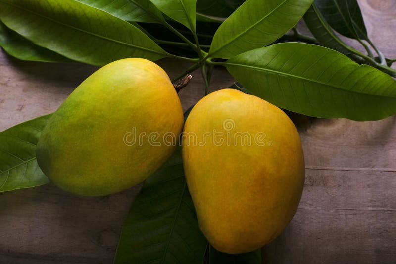 Fresh Mango Tropical Fruit with Green Leaf, Ripe Mango in Grass Stock ...