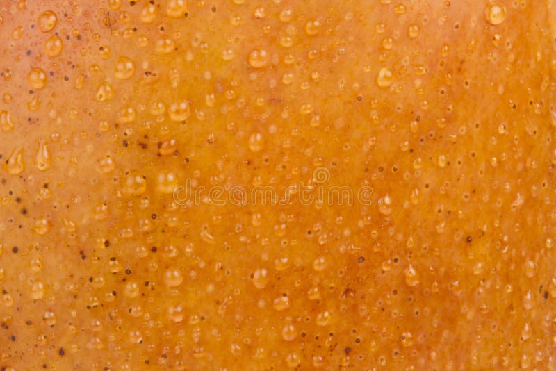 Texture of juice mango stock image. Image of color, mango - 94782737
