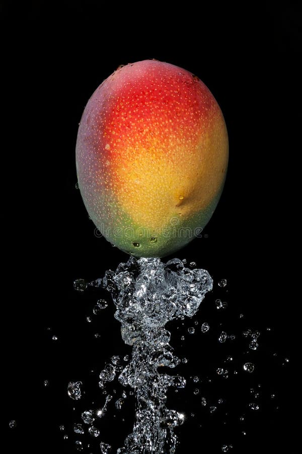 1,531 Mango Splash Stock Photos - Free & Royalty-Free Stock Photos from ...