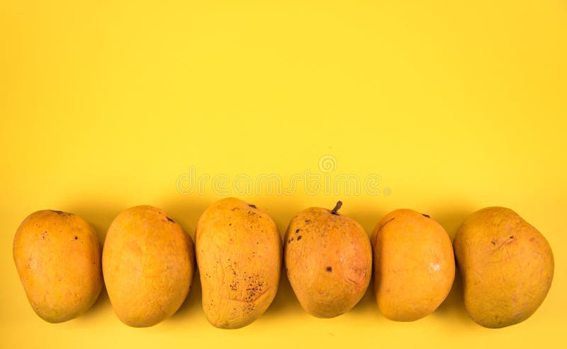 Fresh Mango on Yellow Background Stock Image - Image of color, concepts ...