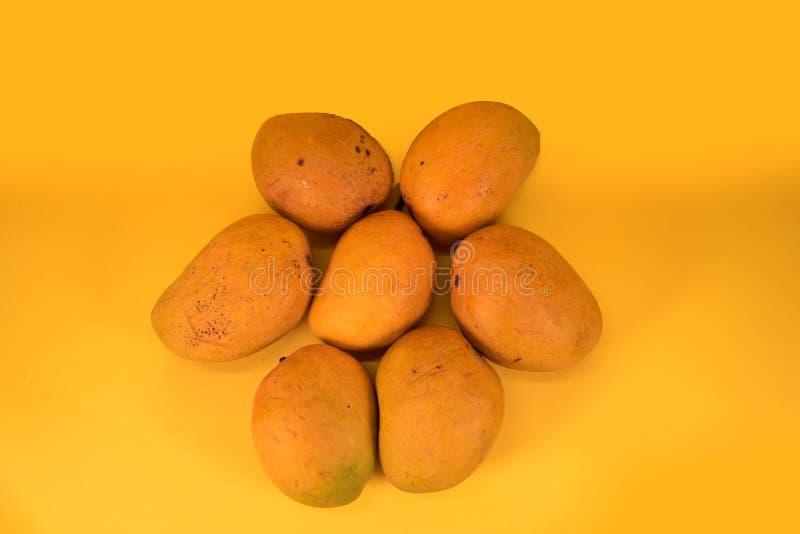 Starch Mangoes Stock Photos - Free & Royalty-Free Stock Photos from ...