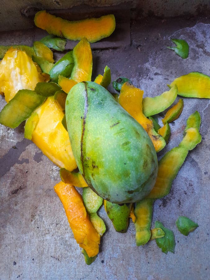 Fresh Mango with Yellow Skin Stock Image - Image of mango, fresh: 293639977