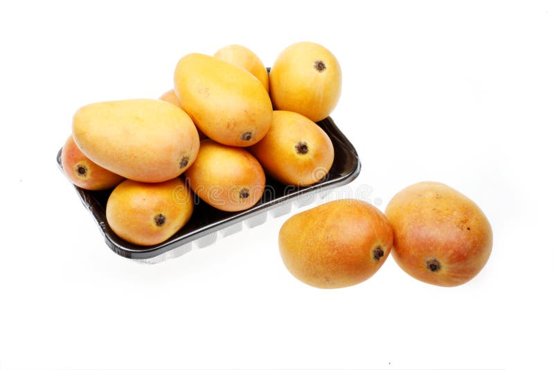 Fresh mangoes stock image. Image of dark, colorful, asia - 14100717