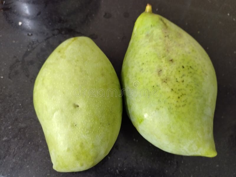 Fresh Mangoes outdoor stock photo. Image of fresh, mangoes - 256901010