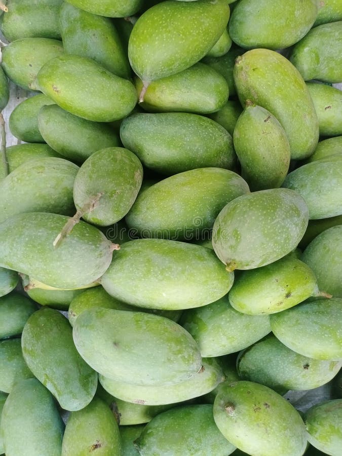 Fresh Cut Mangoes stock image. Image of mangoes, fresh - 80484877