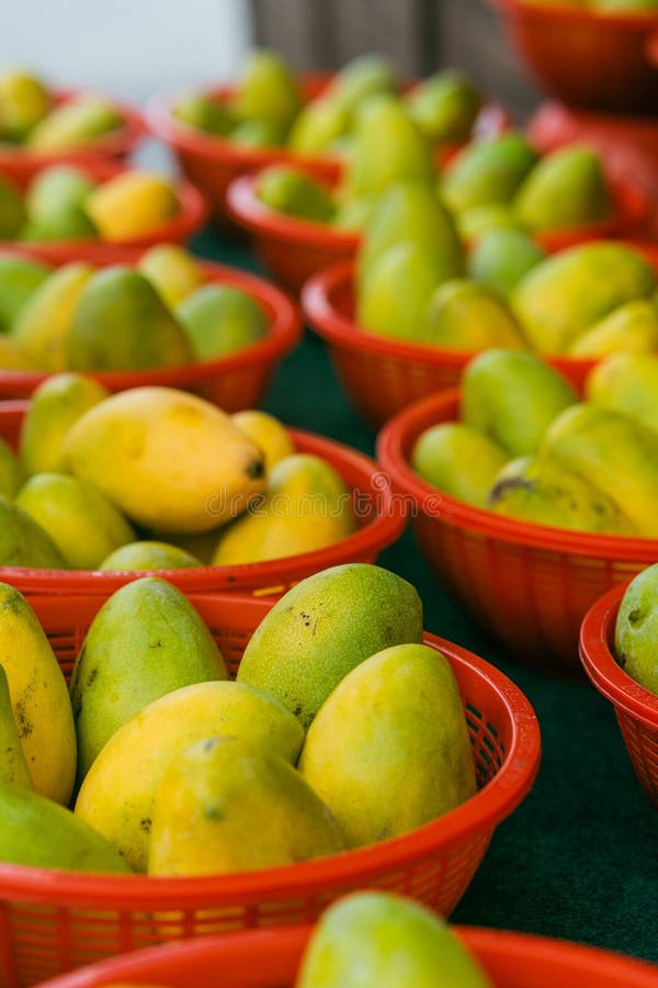 Fresh Mangoes in Red Baskets at the Stall. Stock Image - Image of ...