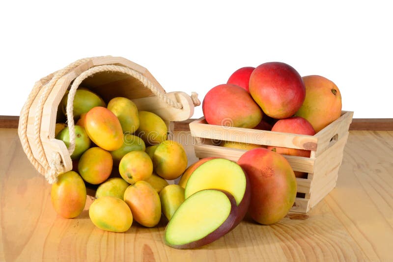 Fresh Mangos stock image. Image of farm, table, green - 56693615