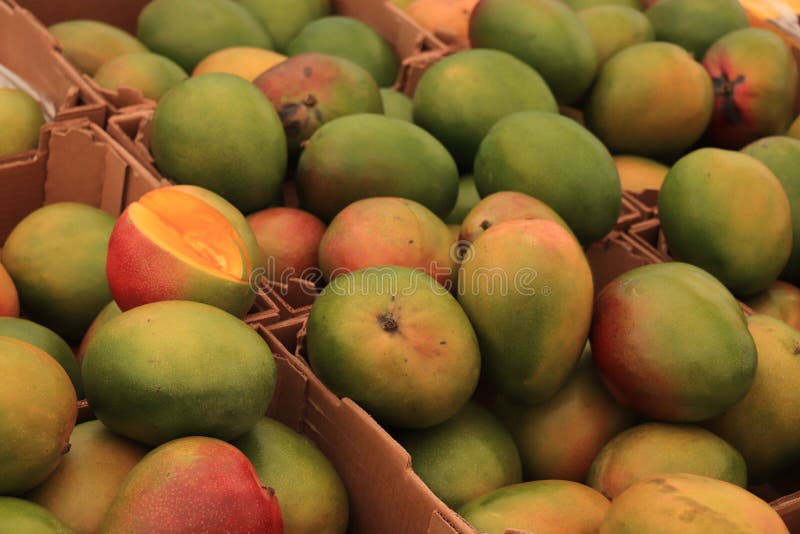 Fresh Mangos on a Market Stall Stock Image - Image of fruit, display ...