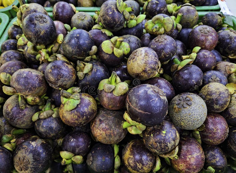 Fresh Mangosteen Fruit at the Supermarket Stock Image - Image of juice ...