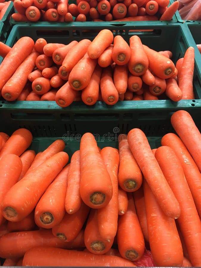 Fresh many carrots stock photo. Image of vegetable, green - 92393680