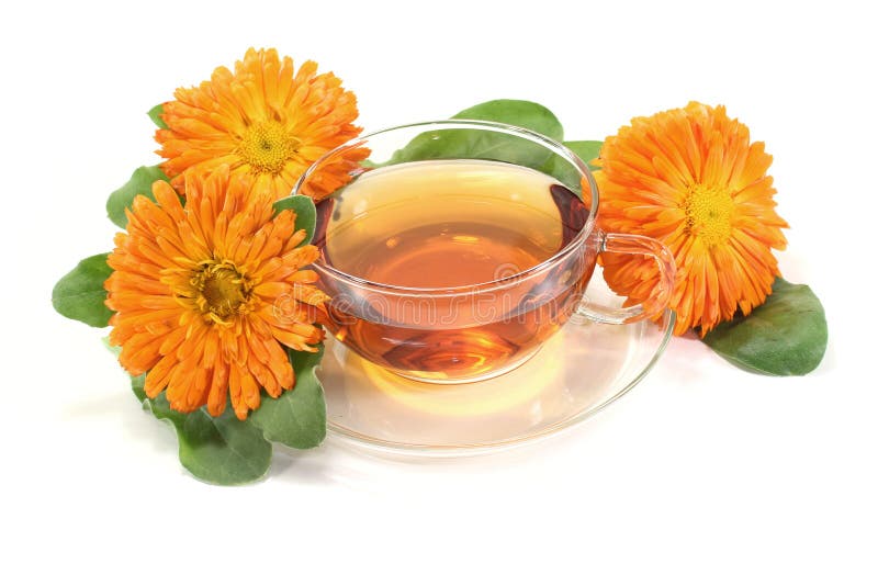 Marigold tea stock photo. Image of calendula, naturopathy - 24371112