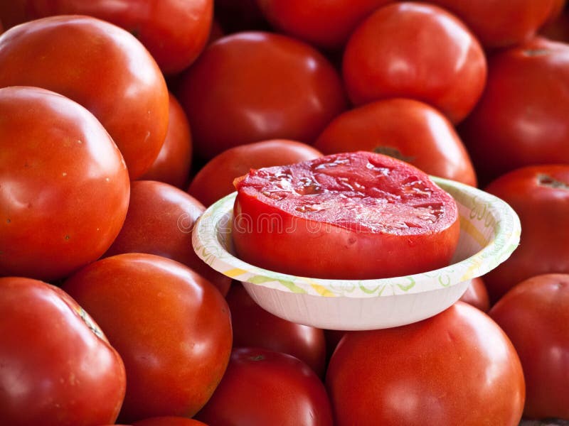 Fresh market tomatoes stock photo. Image of agriculture - 11571218