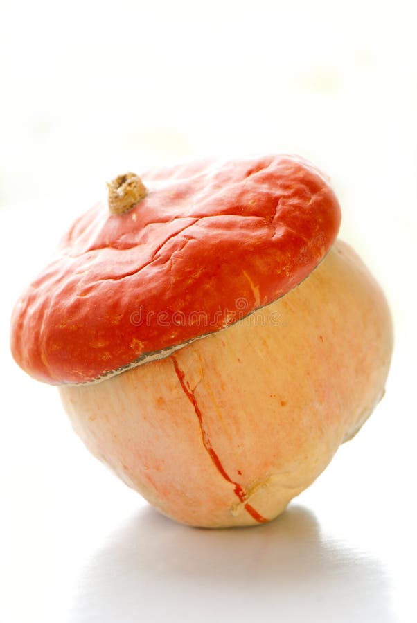 Fresh Marrow Isolated on White Background Stock Image - Image of ...