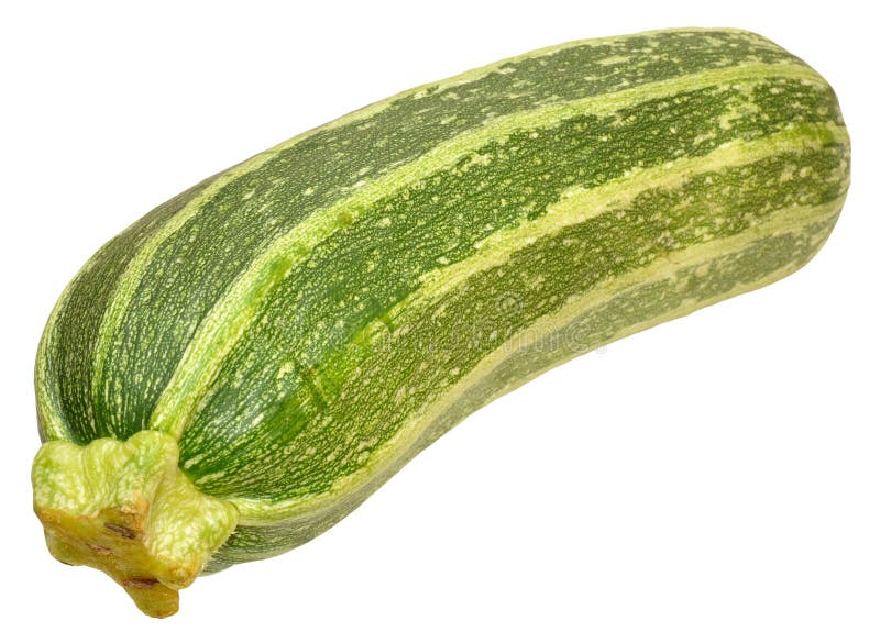 Fresh Marrow Squash stock photo. Image of ripe, long - 47500550