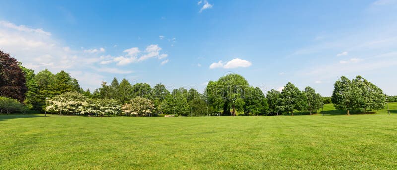 Fresh meadow stock image. Image of freedom, foliage, land - 17510701