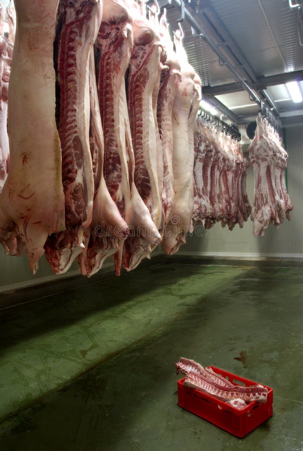 Fresh meat 2 stock photo. Image of juicy, prime, fresh - 1458286