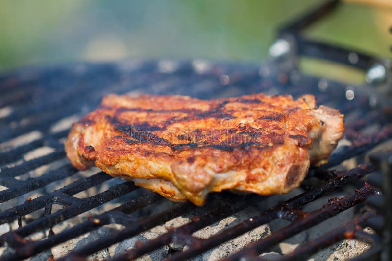 Fresh meat stock image. Image of chicken, party, roast - 24200973