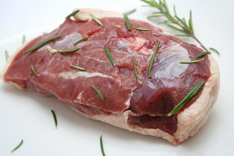 Fresh meat stock image. Image of food, duck, meat, rosemary - 9198105