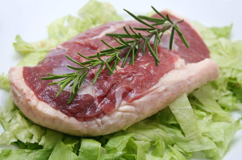 Fresh meat stock photo. Image of fresh, meat, rosemary - 9201328