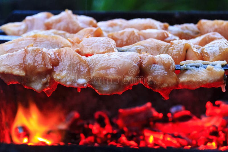 Fresh Meat is Baked on the Barbecue Stock Image - Image of roast ...