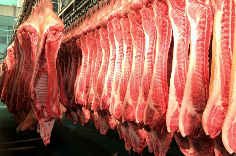 Fresh Meat in a Cold Cut Factory Stock Image - Image of interior ...