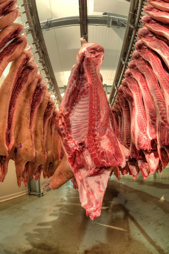 Fresh Meat in a Cold Cut Factory Stock Photo - Image of complex ...