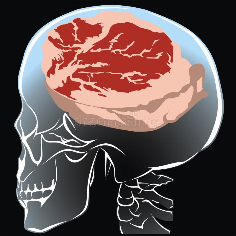 Fresh Meat in the Human Head Stock Vector - Illustration of memory ...