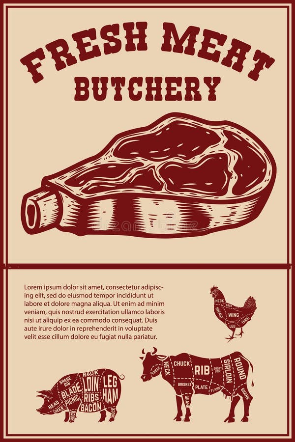 Cut of Meat Set. Poster Butcher Diagram, Scheme and Guide - Pork ...